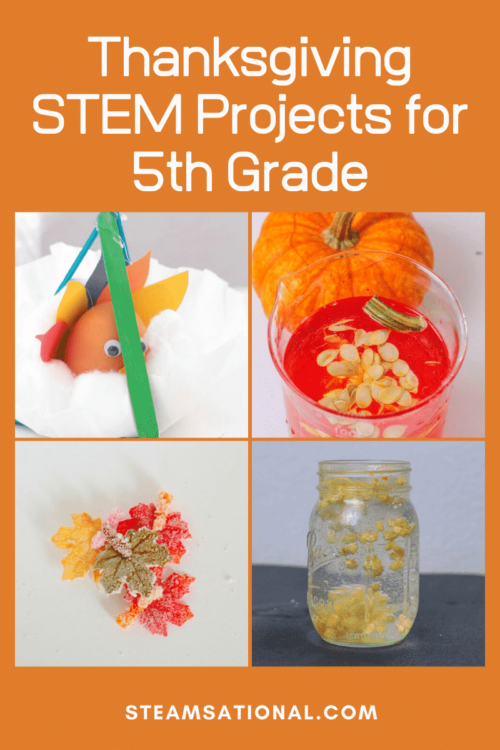 Classroom-Friendly Thanksgiving STEM Activities for 5th Grade
