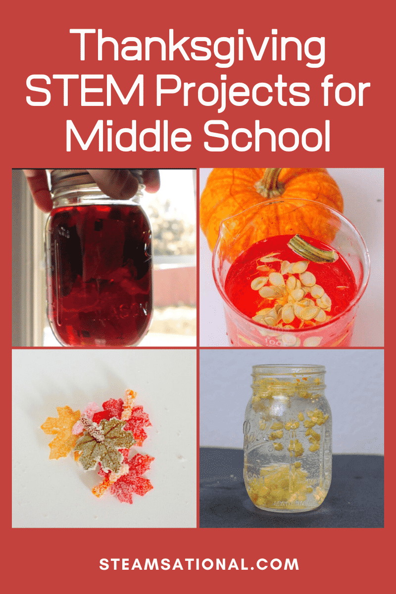Thanksgiving STEM Activities For Middle School thanksgiving-stem-activities-for-middle-school