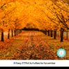 8 Exciting November STEM Activities for Elementary