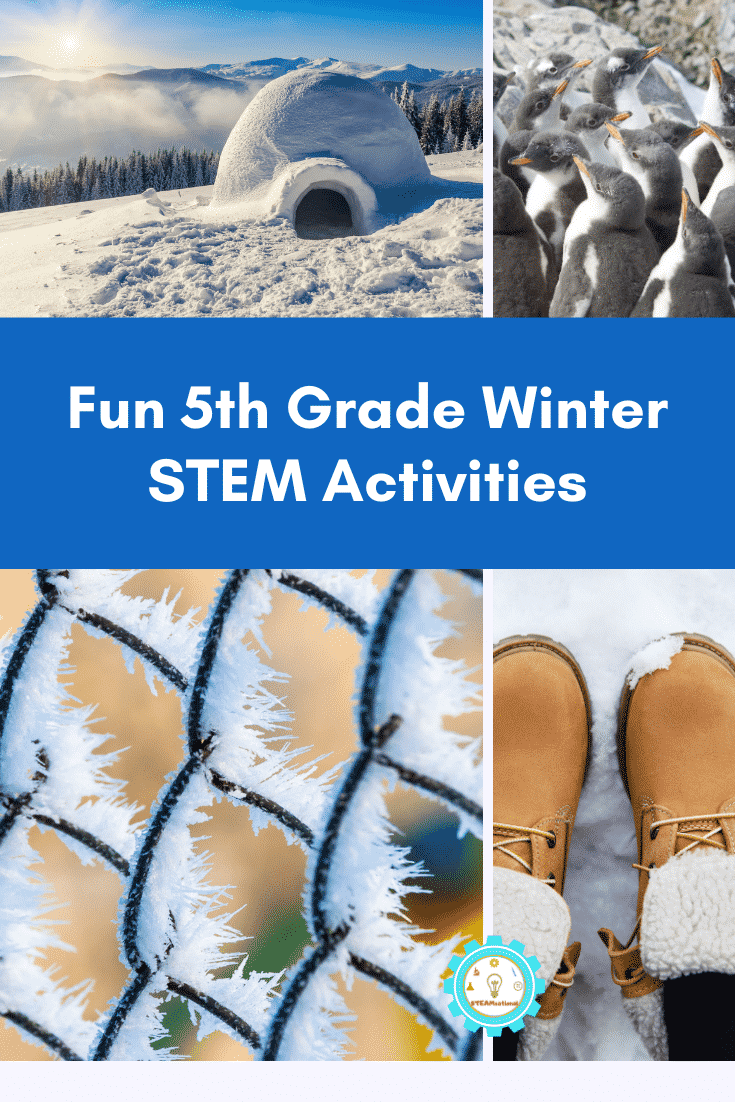 Winter STEM Activities for 5th Grade