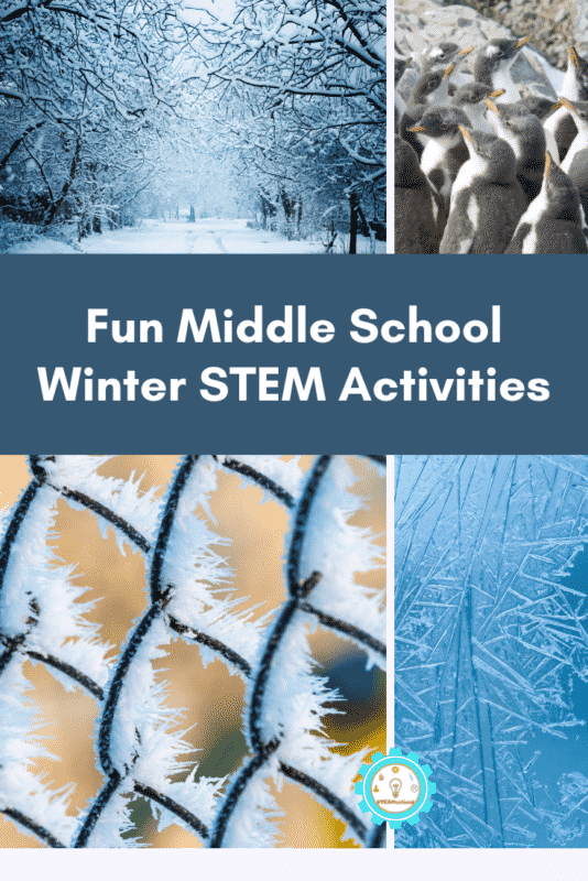 Creative Winter STEM Activities For Middle School