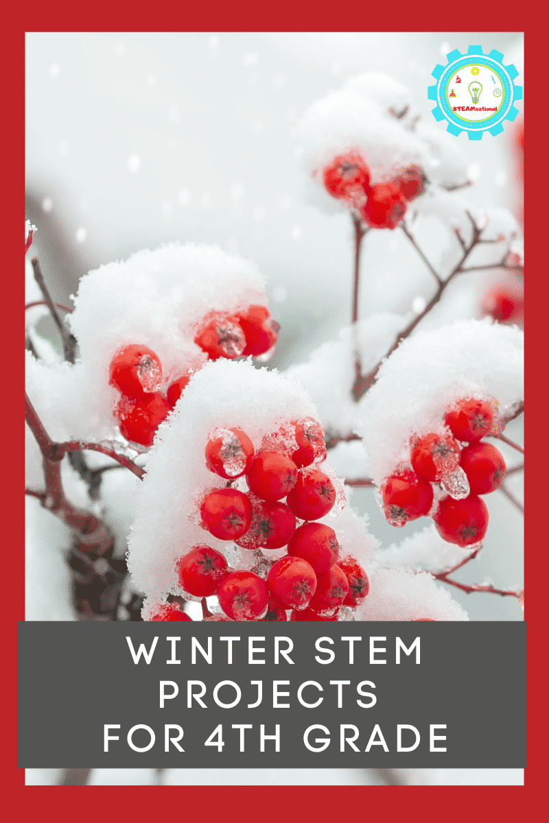 Creative Winter STEM Activities For 4th Grade