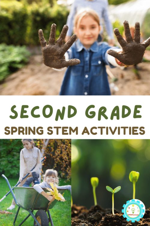 Low-Prep Spring STEM Activities for 2nd Grade (with worksheets!)