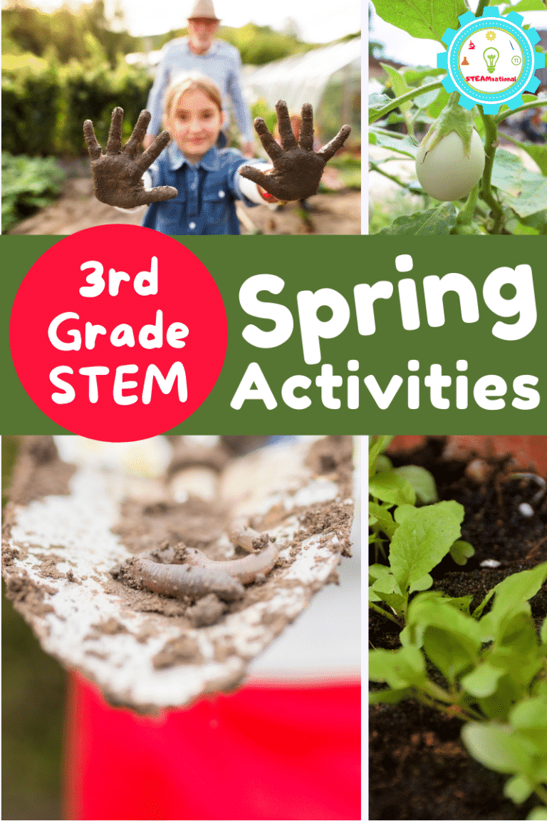 20 Spring STEM Activities For 3rd Grade To Celebrate Spring 