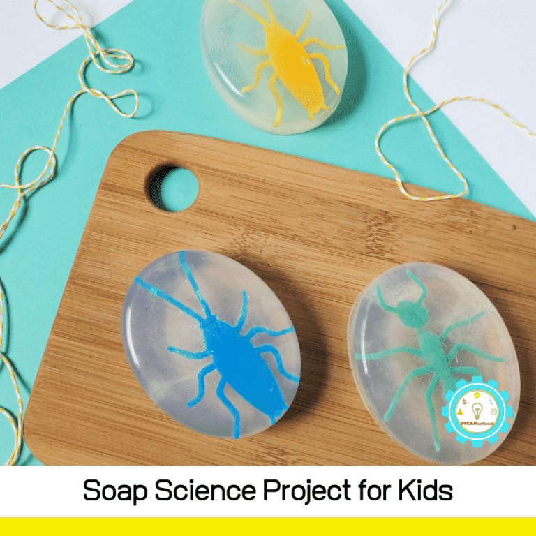 Easy Desalination Science Project for Kids