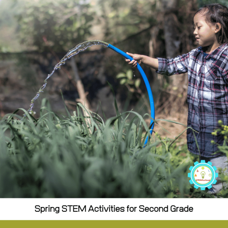 Low-Prep Spring STEM Activities for 2nd Grade (with worksheets!)