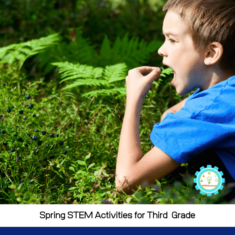 Hands-on Spring STEM Activities for Middle School