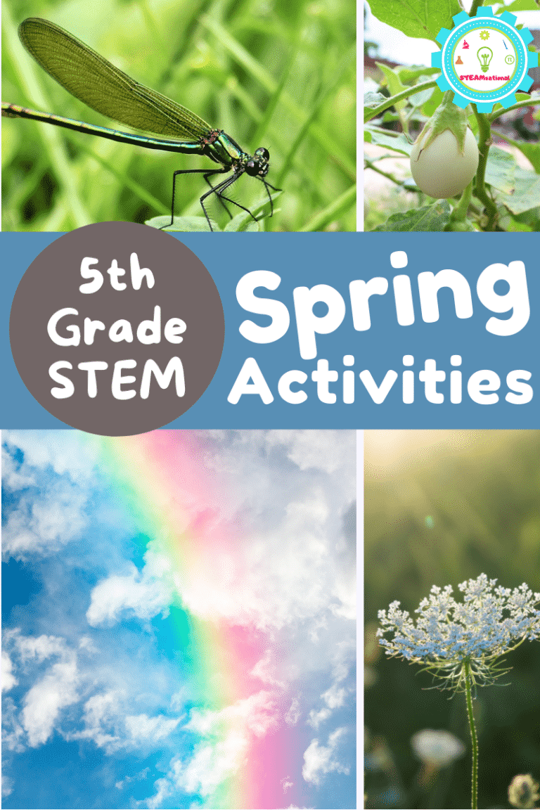 Exciting And Fun Spring STEM Activities For 5th Grade