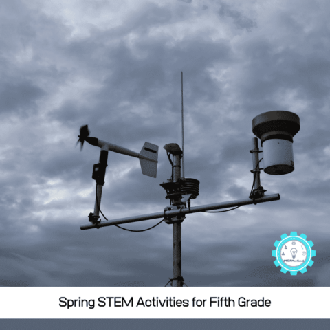 Exciting and Fun Spring STEM Activities for 5th Grade