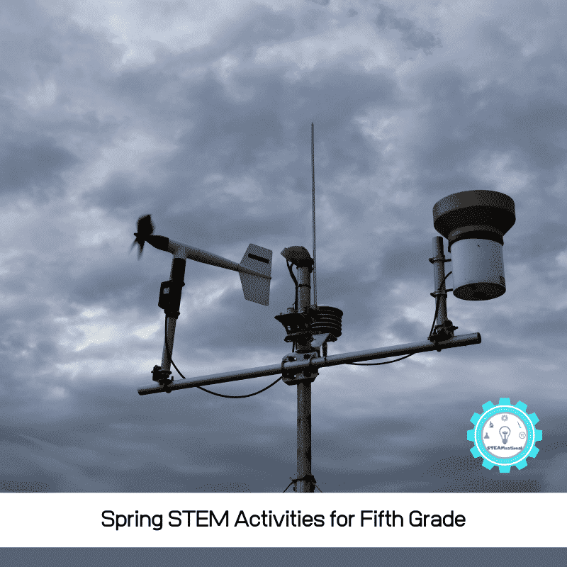 Exciting And Fun Spring STEM Activities For 5th Grade