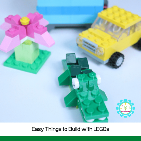 Easy Things to Build with LEGOs (using a Creative Brick Box)