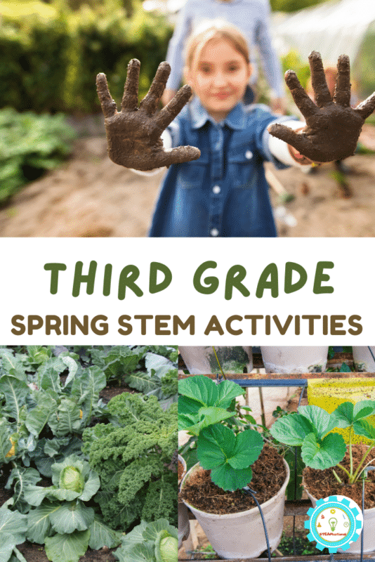 20 Spring STEM Activities For 3rd Grade To Celebrate Spring 