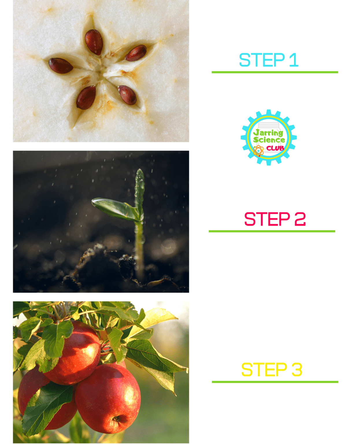 Apple STEM Lesson Plan Bundle – STEAMsational