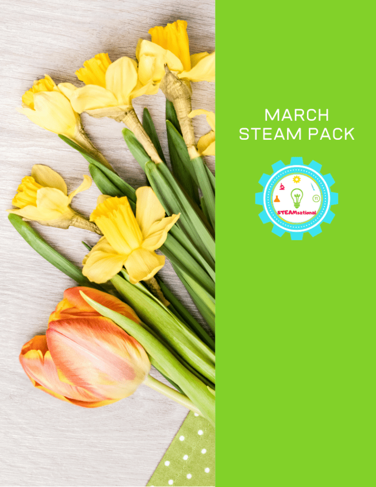 March STEAM Lesson Plan Bundle – STEAMsational