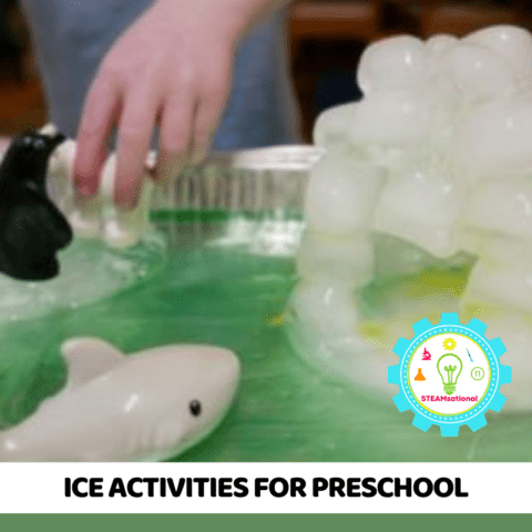 22+ Ice Activities for Preschool that are Fun and Easy