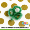 How to Make Crystal Shamrocks-St Patrick's Day Chemistry!