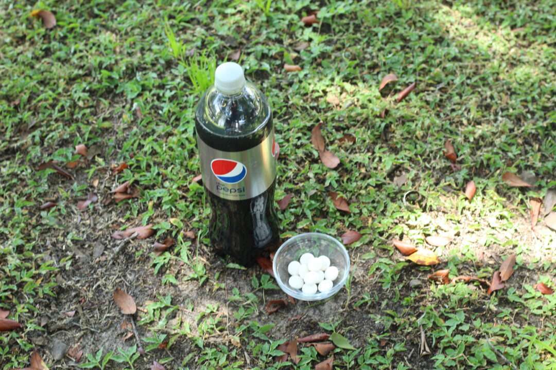 Easy Coke and Mentos Experiment Lesson Plan