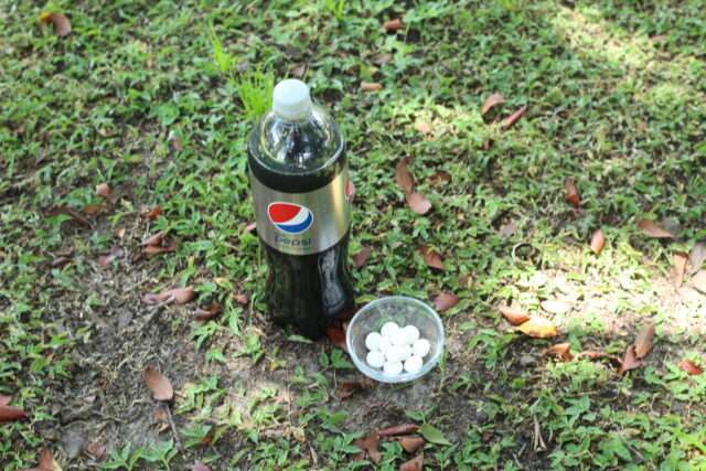 Easy Coke and Mentos Experiment Lesson Plan