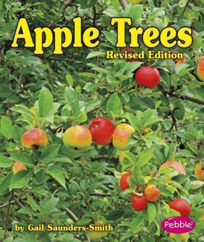Apple Tower STEM Challenge Lesson Plan for Elementary