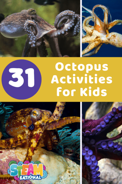 31+ Fun Educational Octopus Activities for Kids