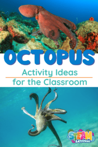 31+ Fun Educational Octopus Activities for Kids