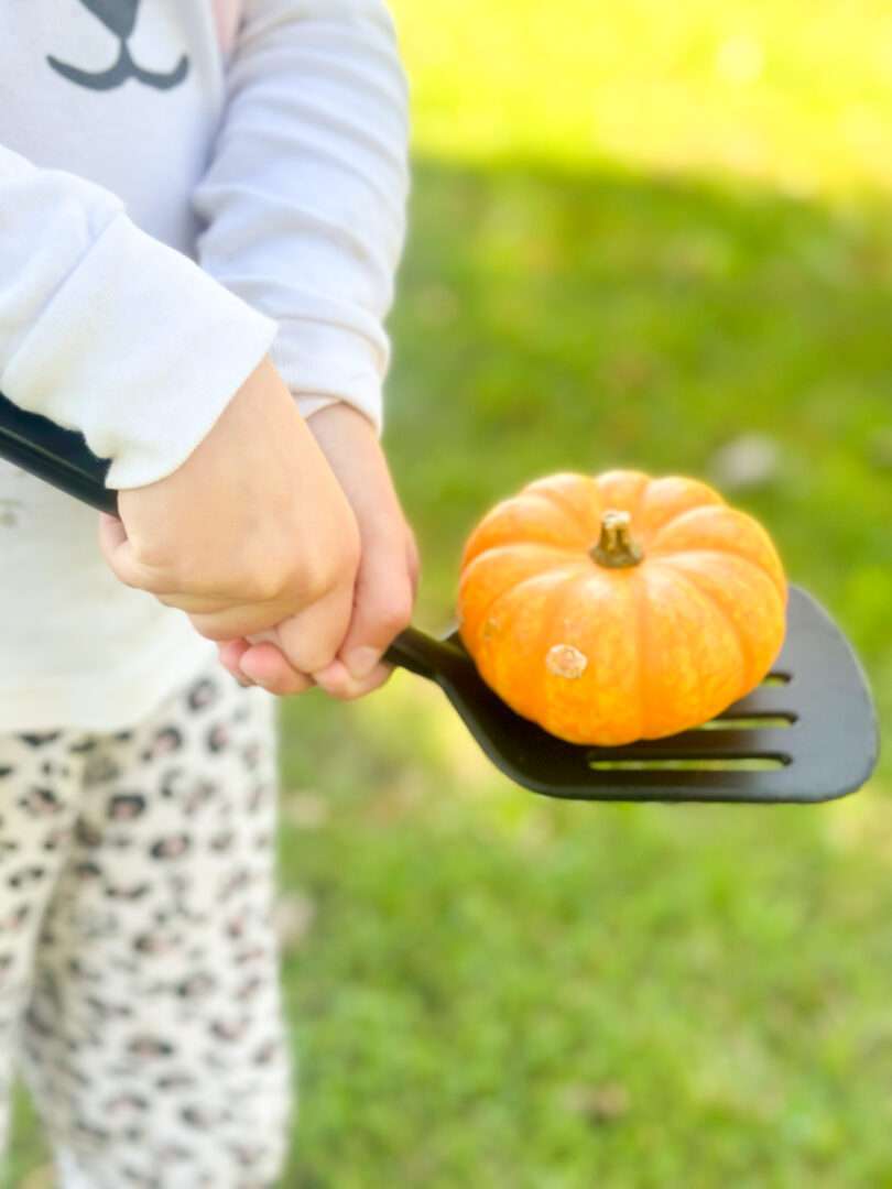 Easy Pumpkin Drop STEM Challenge for Primary Students
