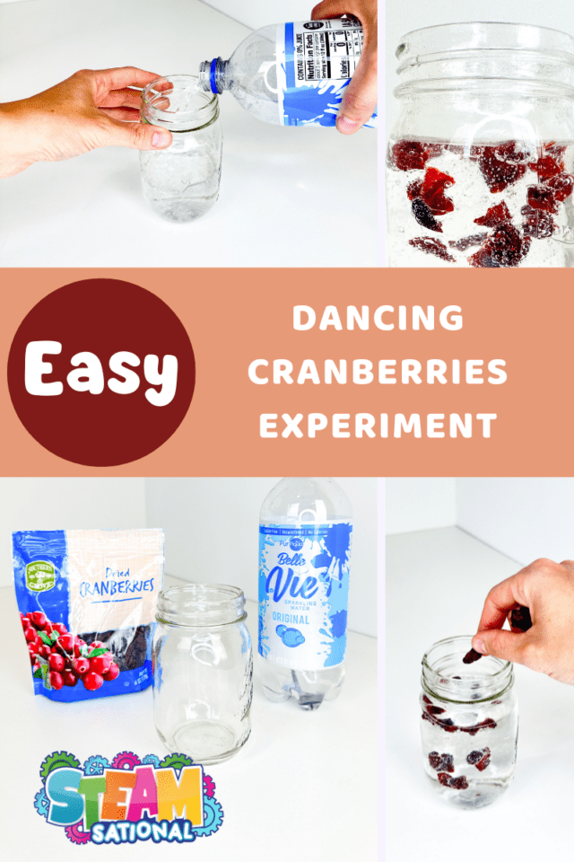 Easy Dancing Cranberries Experiment Lesson Plan