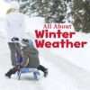 Winter Science Experiments for Toddlers