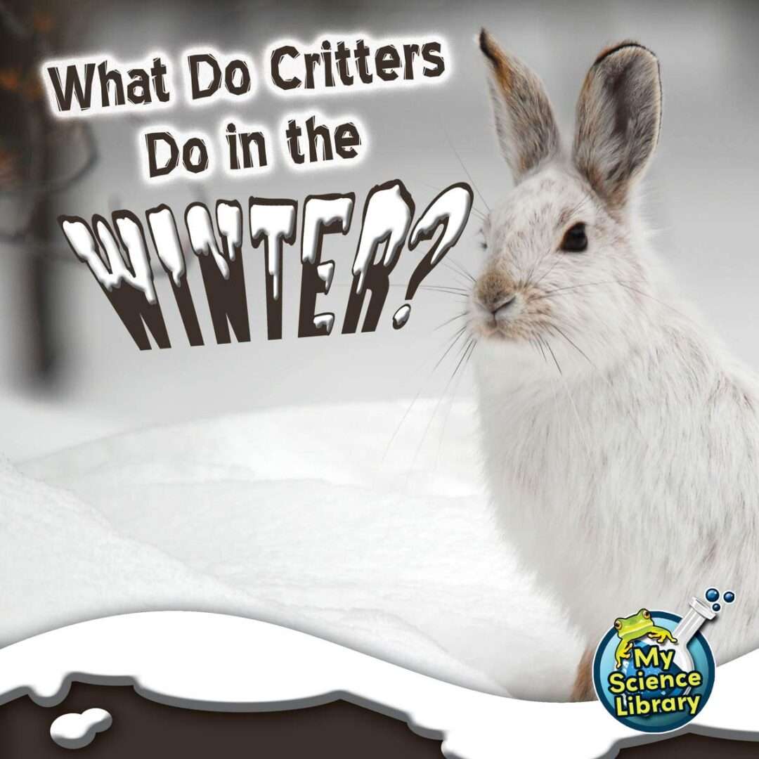 20+ Creative Animals in Winter Preschool Activities