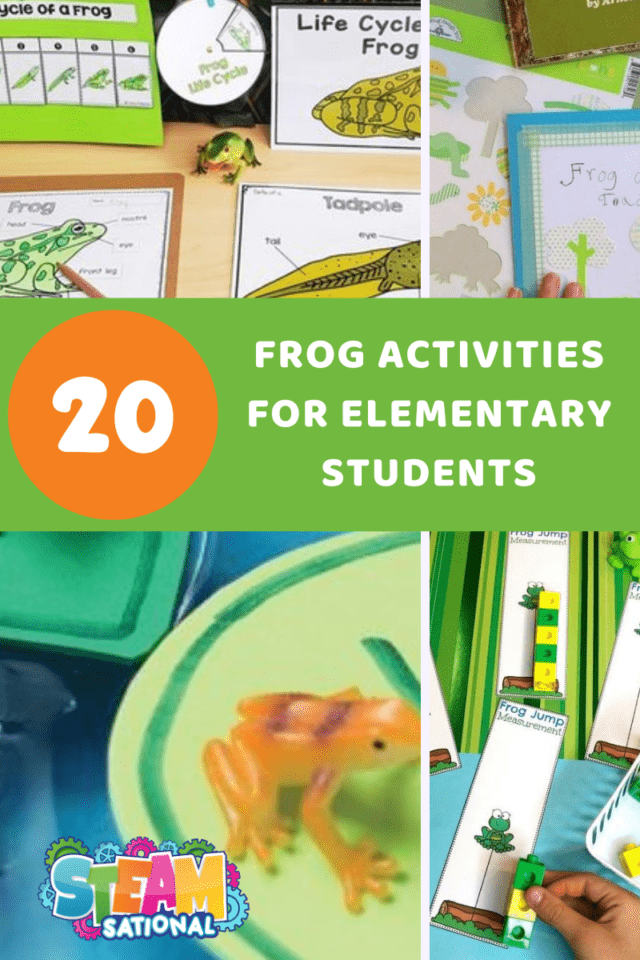 20 Easy and Educational Frog Activities for Elementary Students