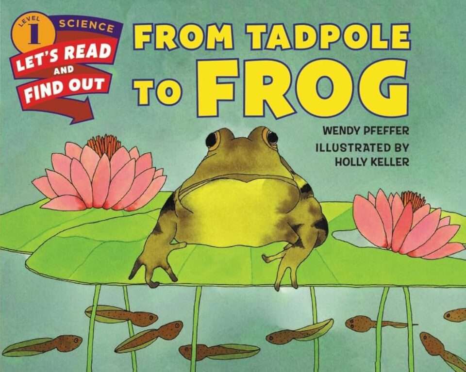 The 20 Best Frog Activities for Preschoolers to Try this Spring!