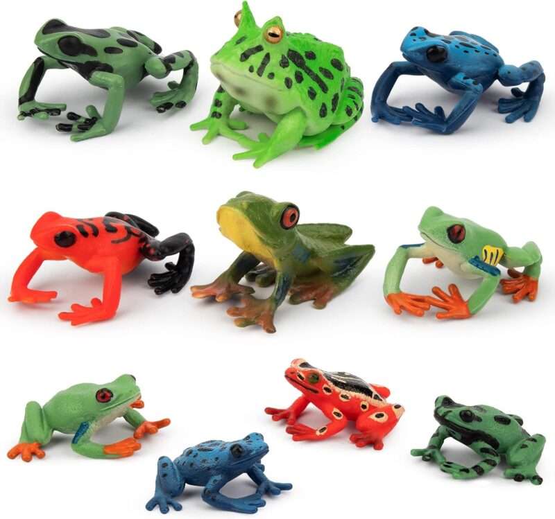 20 Easy and Educational Frog Activities for Elementary Students